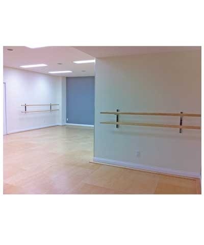 16 ft Double Adjustable Wall Mount Barre FREE SHIPPING - TEN-O | ByGMR